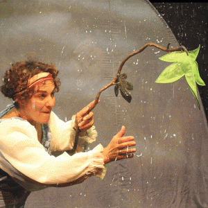 Leaf (2017 – 2018) : Stages of Half Moon